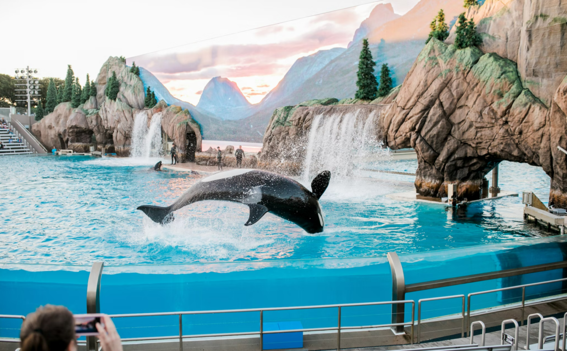 10 Cool Spring Break Vacations for Families with Teens and Tweens ...